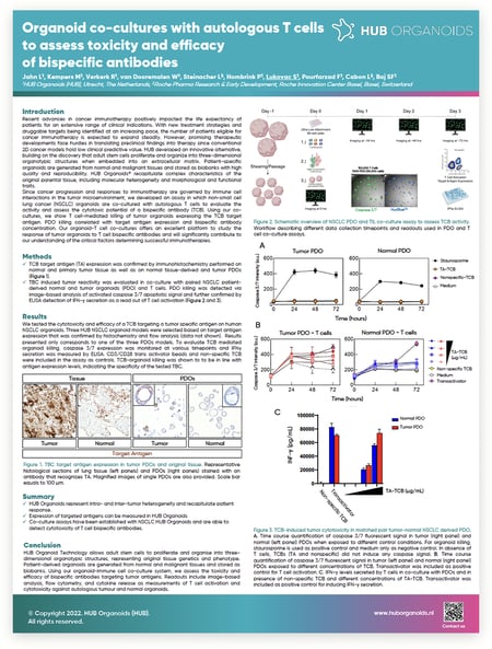 Organoid Co Cultures With Autologous T Cells To Assess Toxicity And Efficacy Of Bispecific